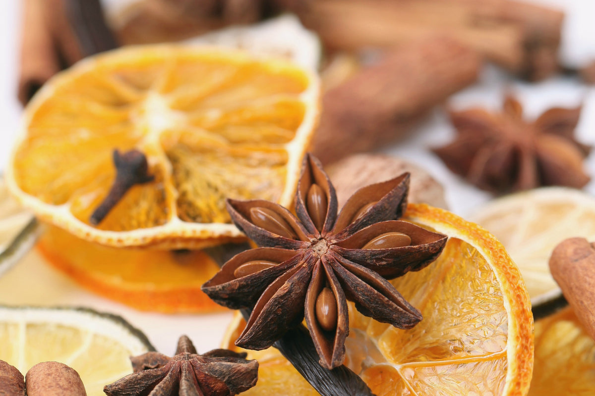 Armor - The Protective Essential Oil Blend – Selah Essential Oils